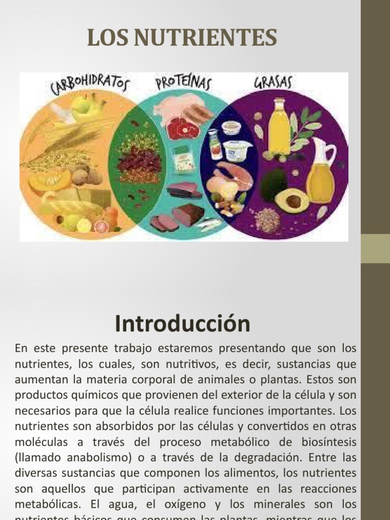 Definición y funciones de los nutrientes | PDF | Nutrientes | Metabolismo