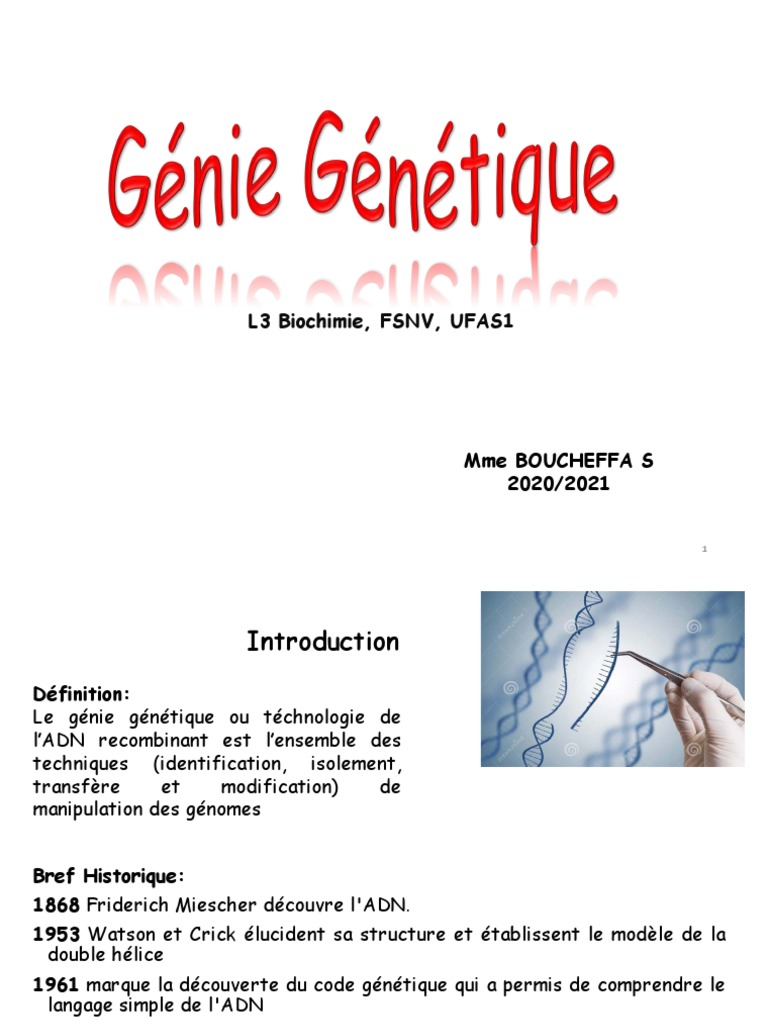 Gène Génétique Boucheffa | PDF | Plasmide | ADN