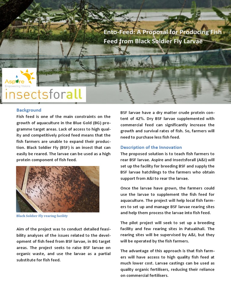 Black Soldier Fly - Animal Feeds. | PDF | Aquaculture | Agriculture