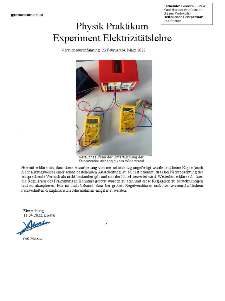 Protokoll Physik Schaltkreise | PDF