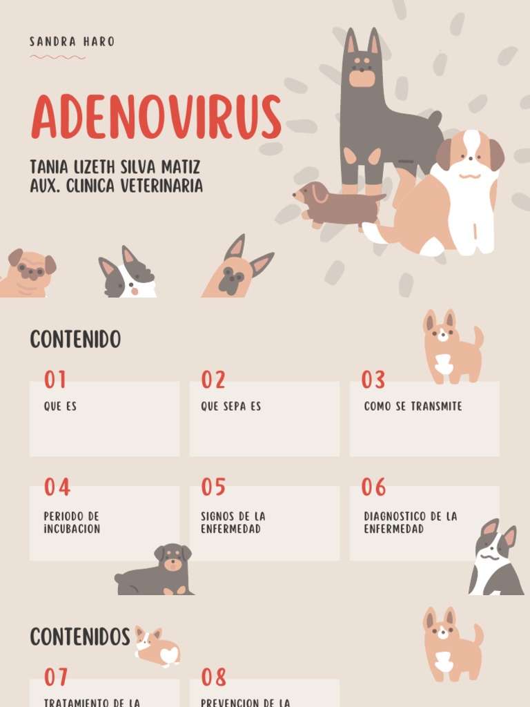 Adenovirus canino: causas, síntomas, diagnóstico y prevención | PDF | Adenoviridae | Virus