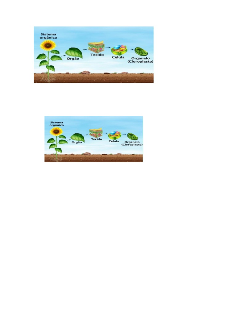 BGGGG | PDF