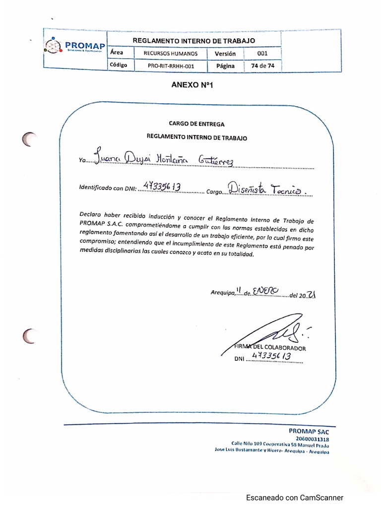 Cargo de Entrega RIT PDF | PDF