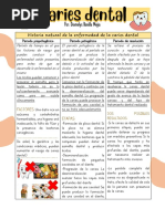 Anatomía de la Región Ciliar | PDF | Cabeza y cuello humanos | Anatomía