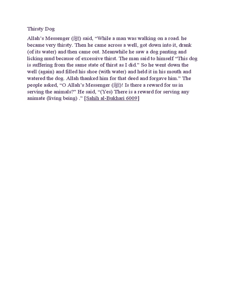 Story 2 Thirsty Dog | PDF