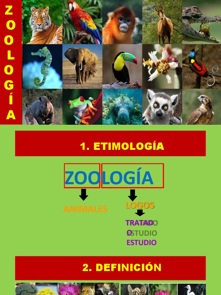 Zoologia M1S1 | PDF