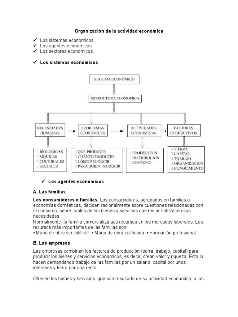Organización de La Actividad Económica | PDF | Sistema económico ...