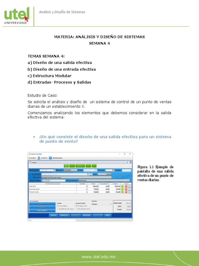 Ejemplo - Analisis y Diseno de Sistemas | PDF | Diseño | Archivo de computadora