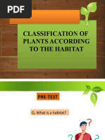 Observation of Mongo | PDF