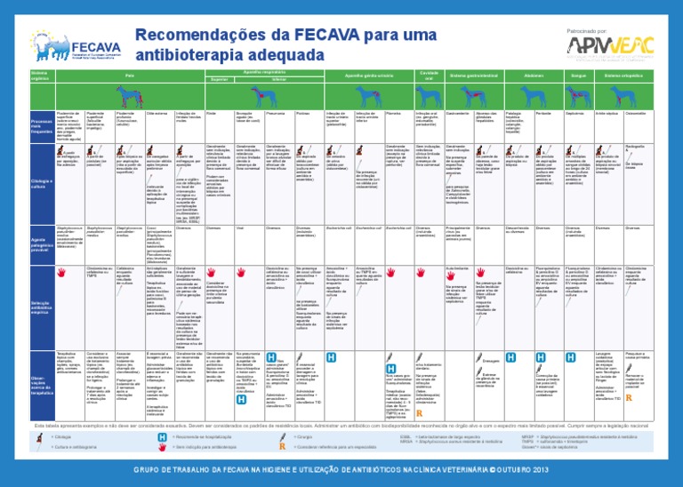 FECAVA Recommendations For Appropriate Antimicrobial PORTUGUES PDF ...