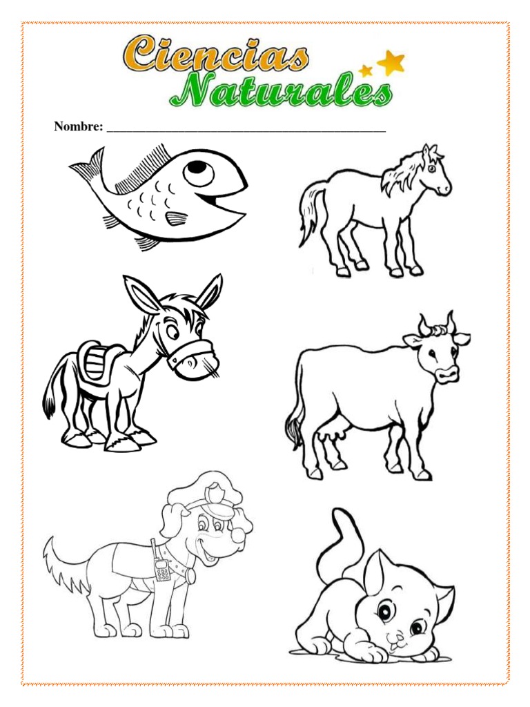 Hojas De Trabajo Imprimibles De Ciencias