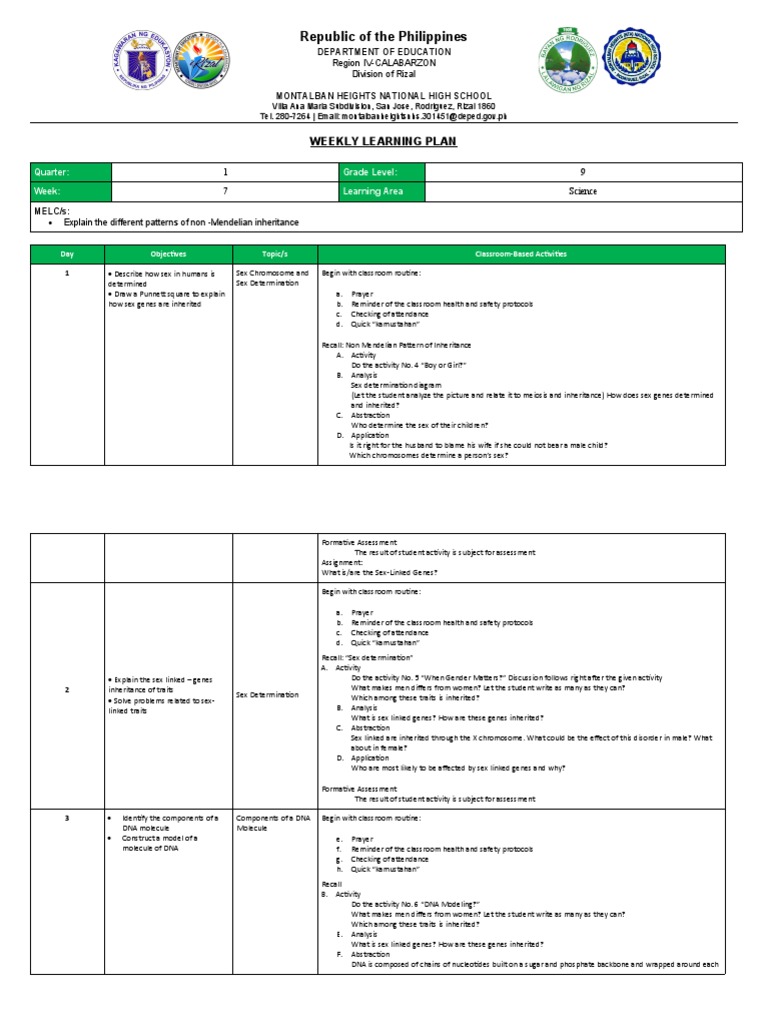 Dimaporo Mohammad Javier D. - WLP Week 7 | PDF | Dna | Gene