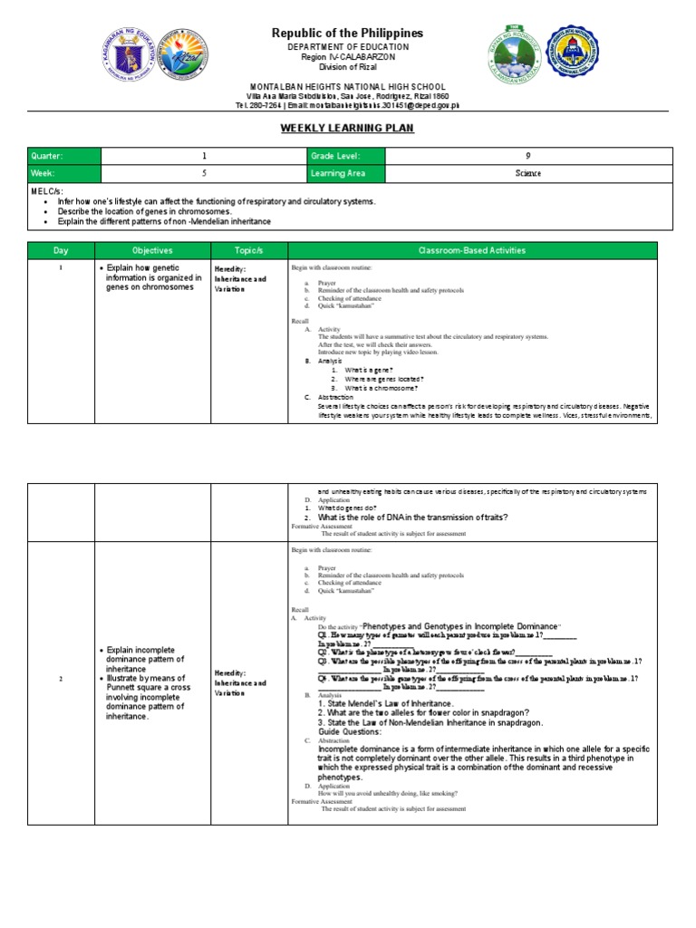 Dimaporo Mohammad Javier D. WLP Week 6 | PDF | Dominance (Genetics) | Genotype