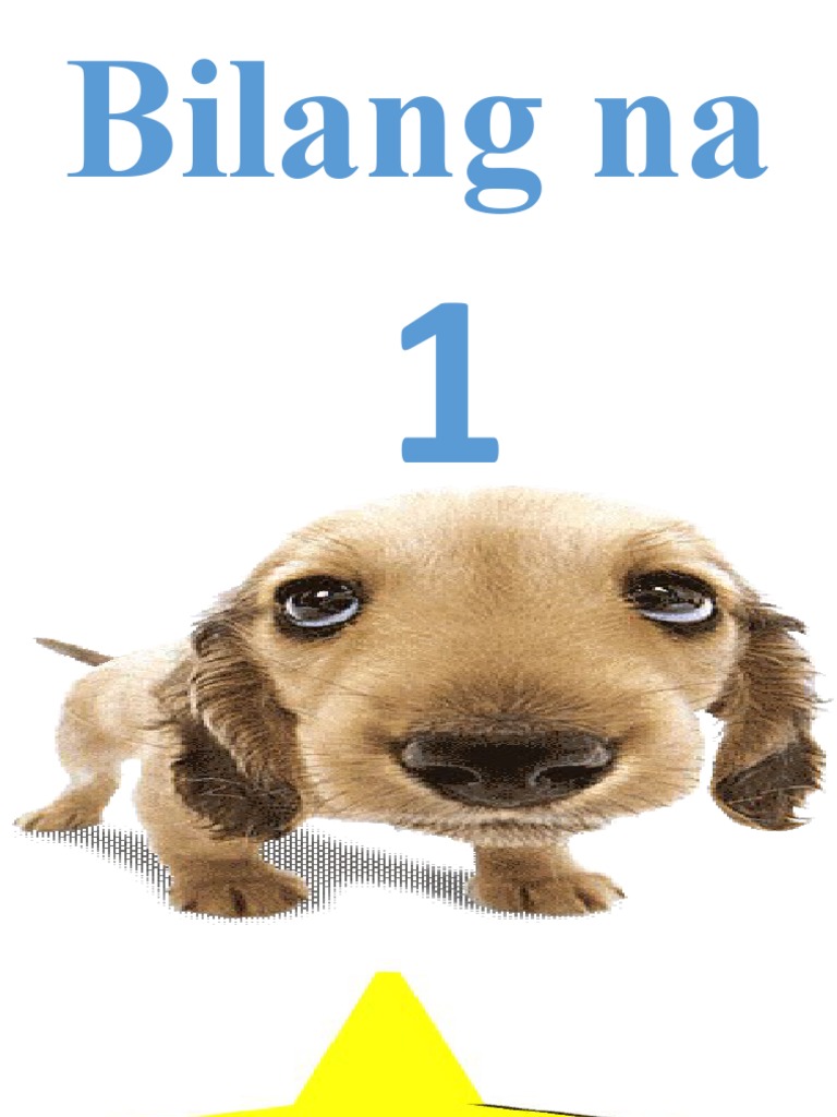 Bilang Na 1 Presentation | PDF