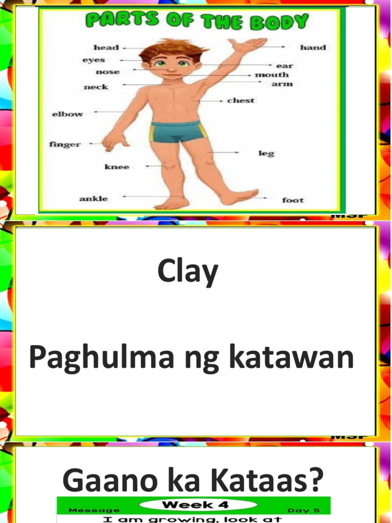 Week 4 Powerpoint | PDF