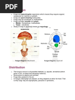 Classification of Fungi (Side Notes) | PDF | Fungus | Sexual Reproduction