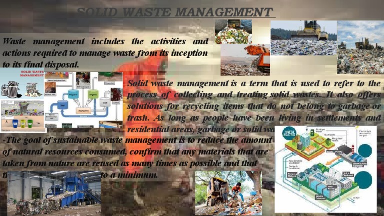 Project Class 12 | PDF