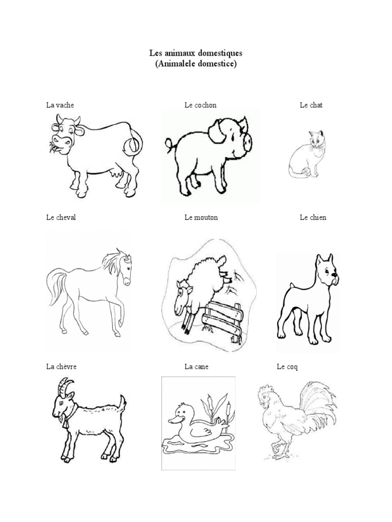 Liste des animaux domestiques | PDF