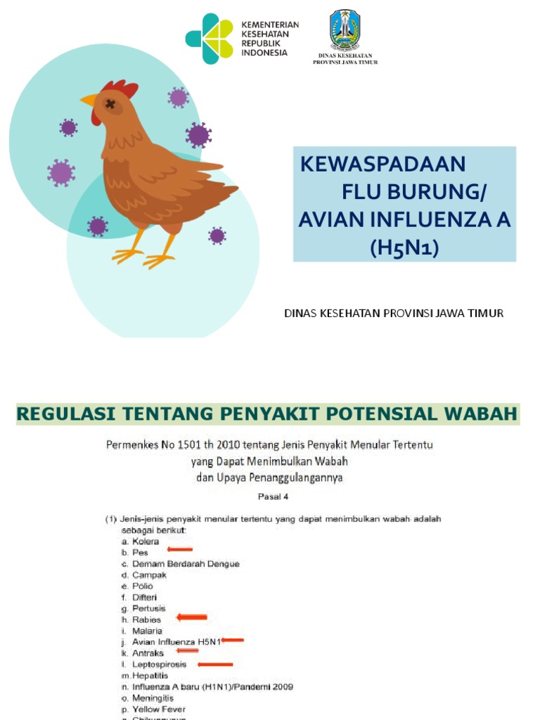 STRATEGI PENCEGAHAN DAN PENGENDALIAN FLU BURUNG/AVIAN INFLUENZA H5N1 DENGAN PENDEKATAN ONE ...
