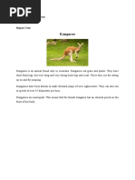 7 Contoh Report Text Animal Binatang | PDF | Honey Bee | Cats