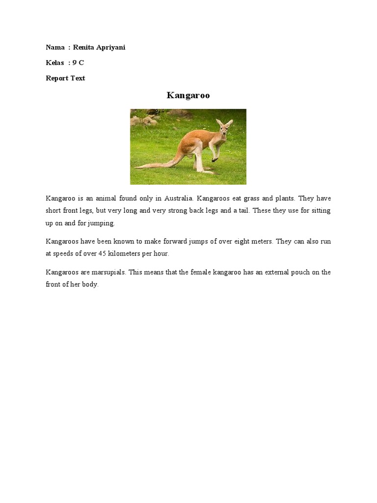 Kangaroo: Nama: Renita Apriyani Kelas: 9 C Report Text | PDF | Cats | Koala
