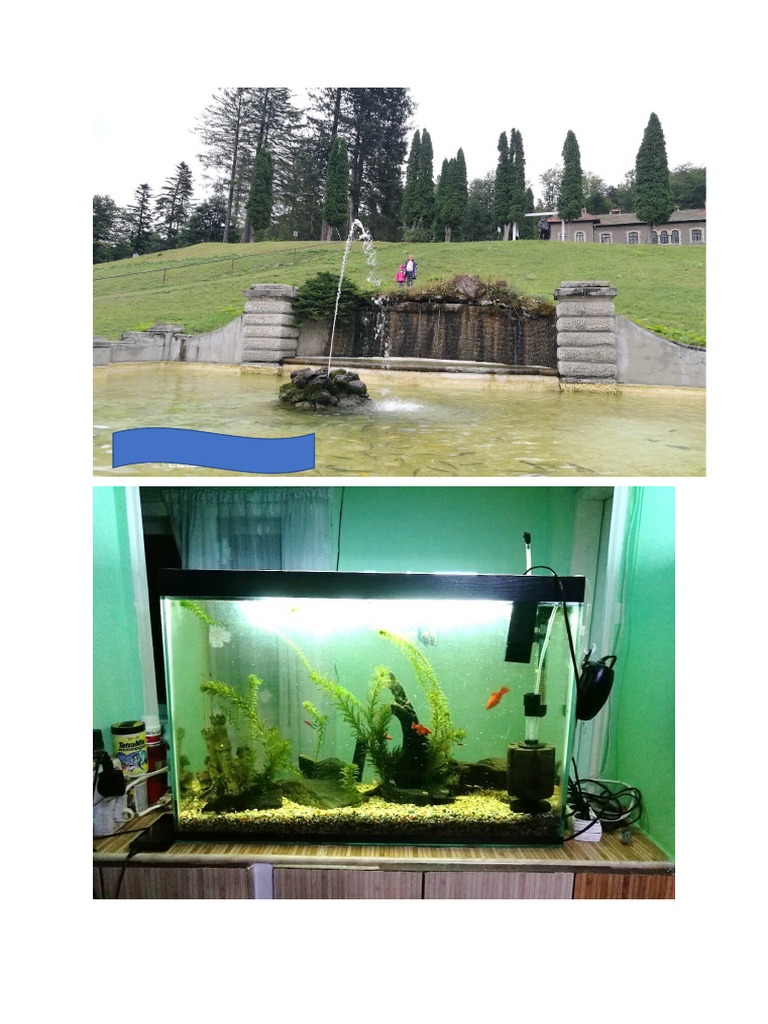 Proiect Apa Stiinte | PDF