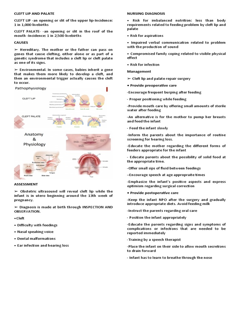 Cleft Lip and Palate | PDF | Diseases And Disorders | Clinical Medicine