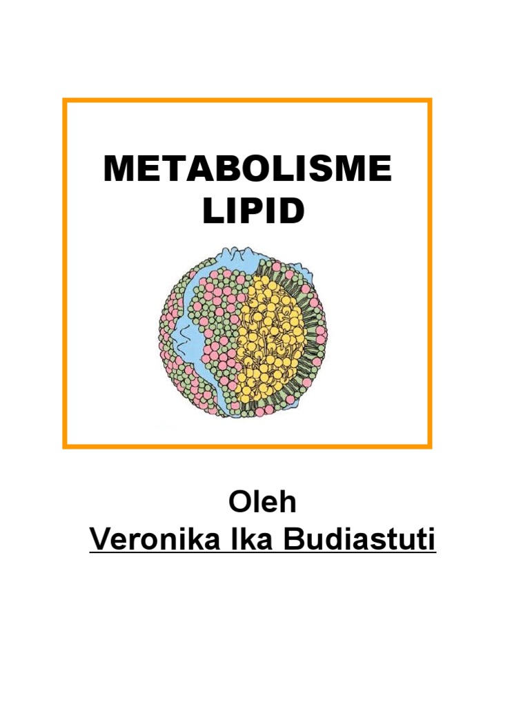05 Lipid | PDF