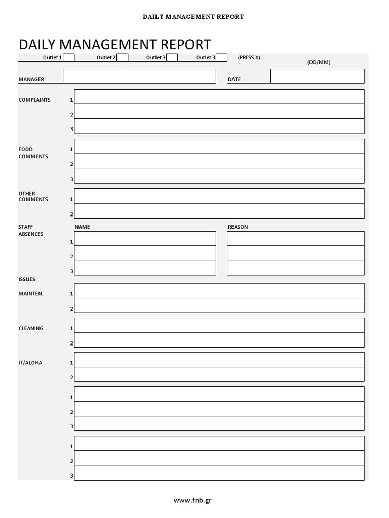 daily-management-report-pdf