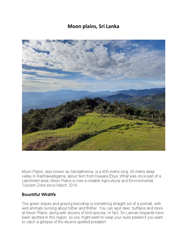 Moon Plains | PDF