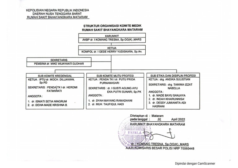 Struktur Komite Medik | PDF