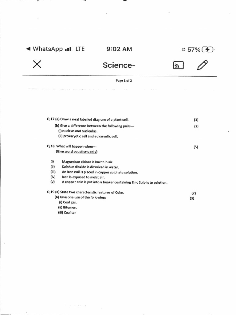 Class 8 Science Worksheet | PDF