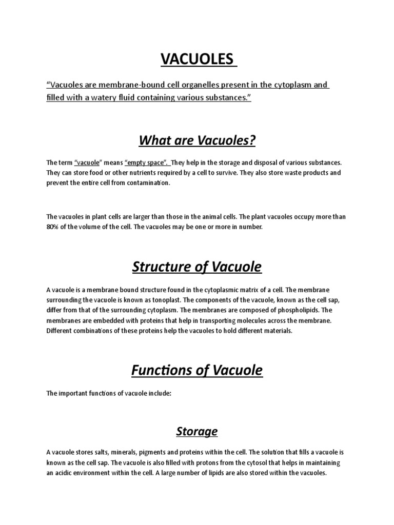 VACUOLE | PDF