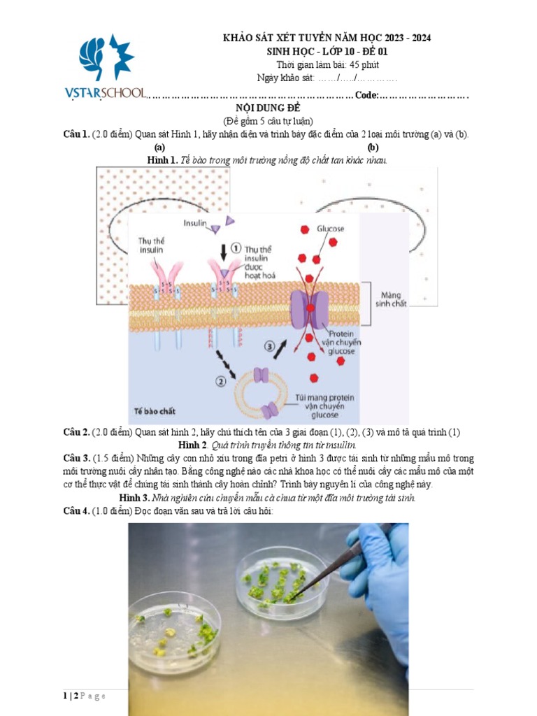 De Tuyen Sinh 10 - Sinh Hoc - 2223 | PDF
