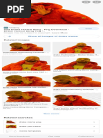 Digging for Diamonds Meme Explained | PDF | World Wide Web | Internet & Web