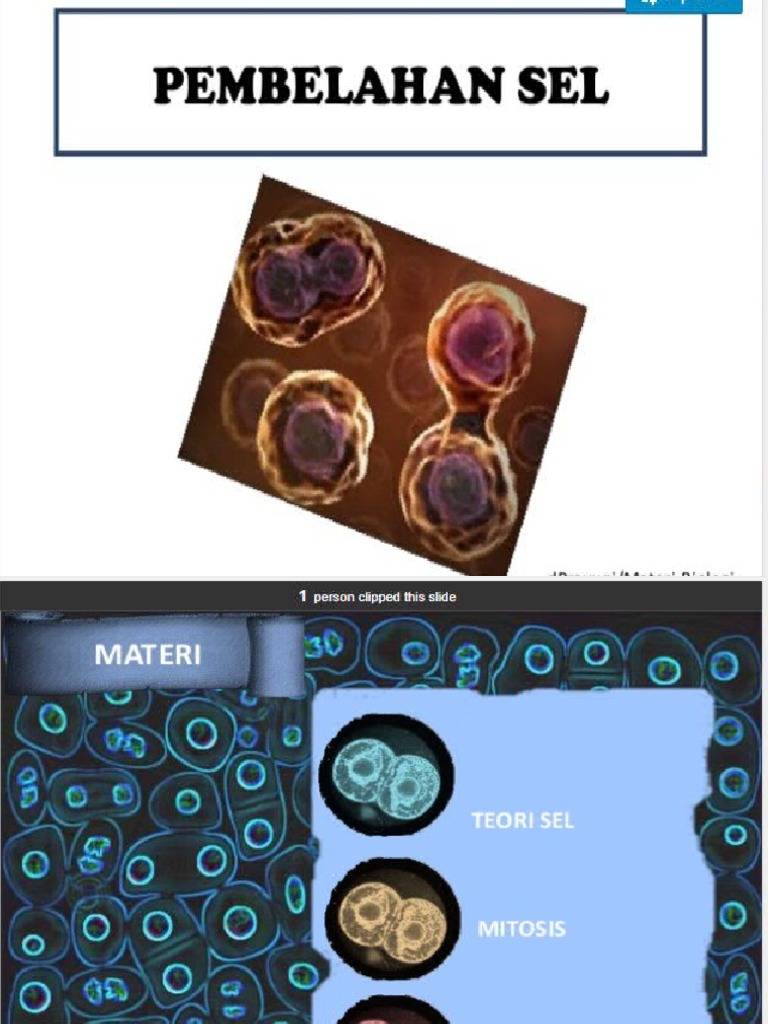 Pembelahan Sel | PDF