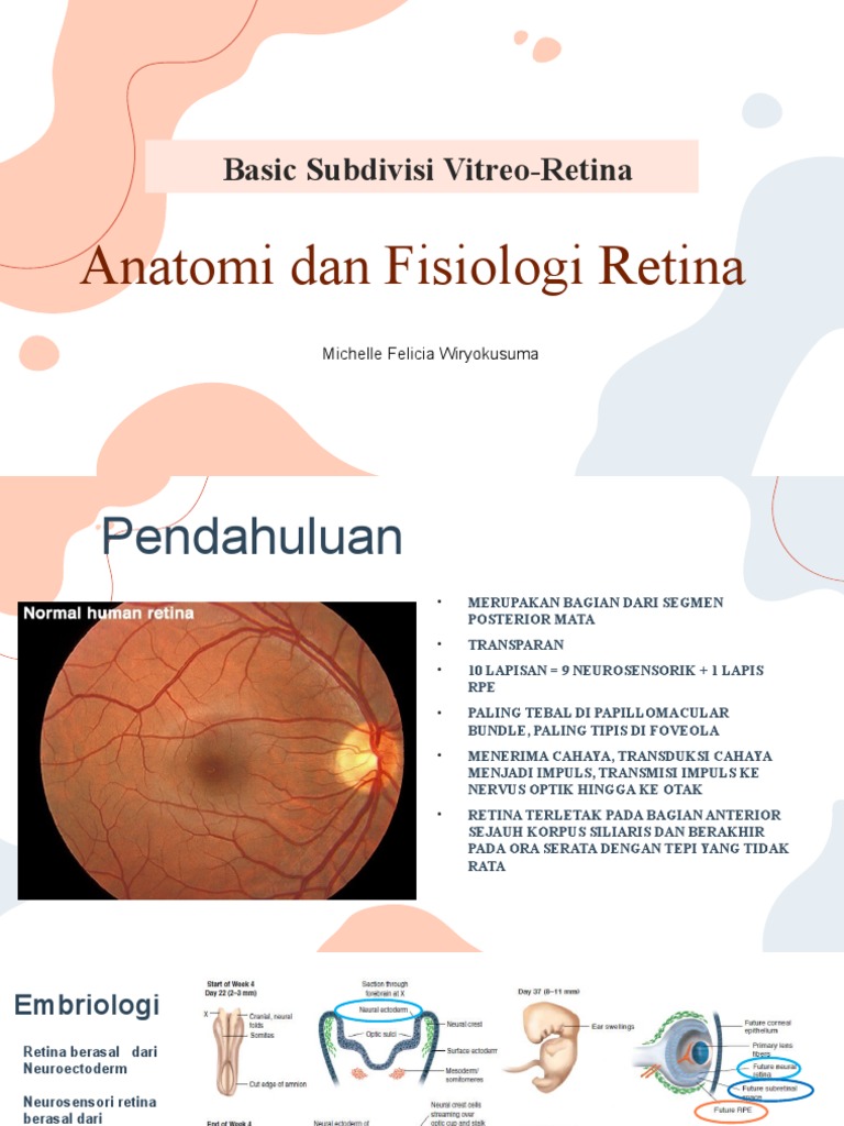 MCL-Anatomi Dan Fisiologi Retina | PDF