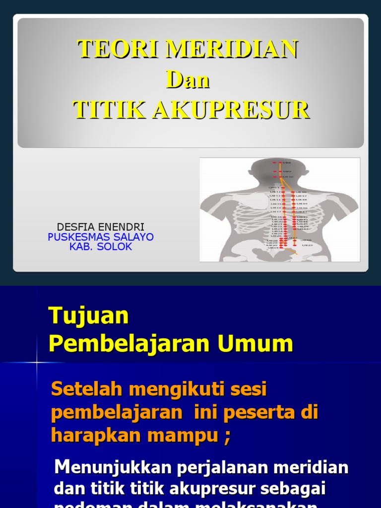 Teori Meridian | PDF