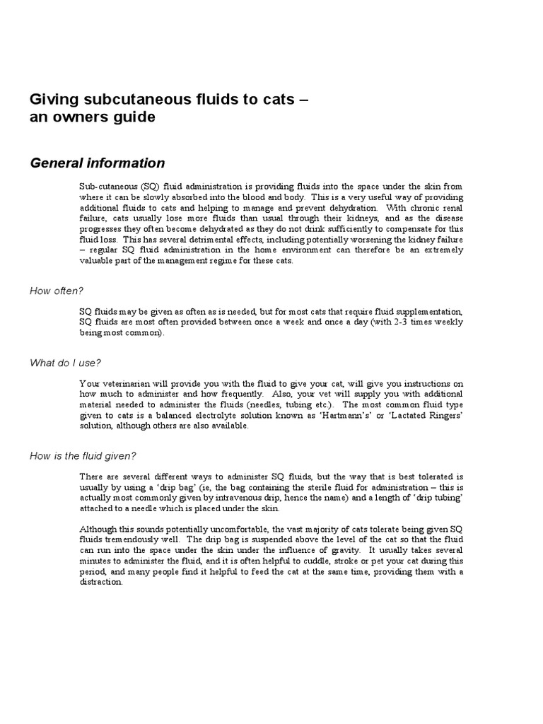 Administering SQ Fluids to Cats Guide | PDF | Intravenous Therapy ...