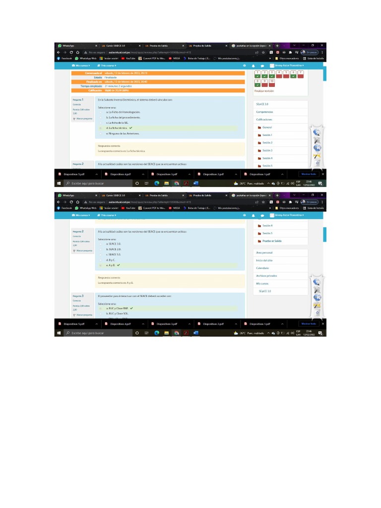 Examen Del Curso de Ocse | PDF