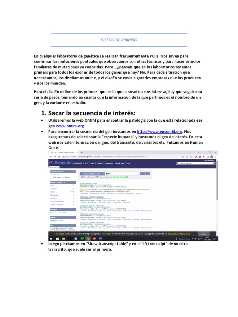 Guía para Diseñar Primers | PDF | Primer (Biología Molecular) | Gene