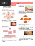 PALESTESIA Definicion y Exploración | PDF | Mano | Sistema ...