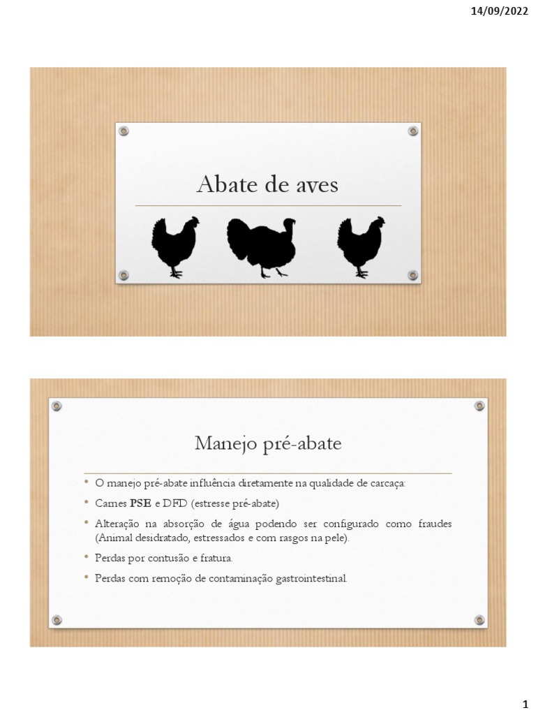 Fluxograma de Abate Aves PDF | PDF | Aves | Estímulo (Fisiologia)