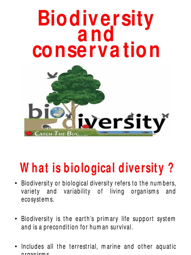 Biodiversity PDF | Download Free PDF | Biodiversity | Conservation Biology
