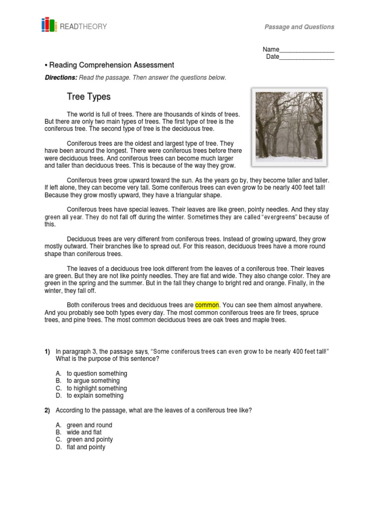 Types of Trees: Coniferous vs Deciduous | PDF | Trees | Fir