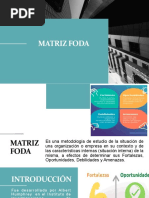 Matriz FODA (Maxi-Mini) | PDF