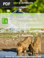 Importância Dos Mangais para o Meio Ambiente | PDF | Mangue | Ambiente ...