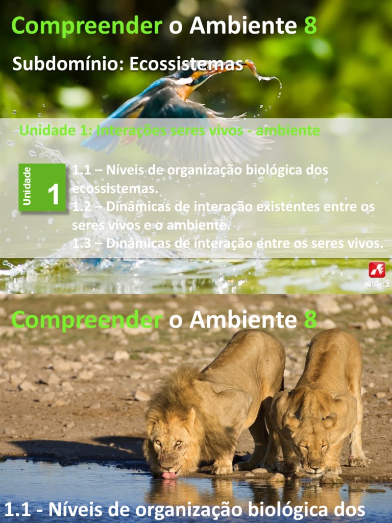 Interações entre Seres Vivos e Ecossistemas | PDF | Ecossistema ...