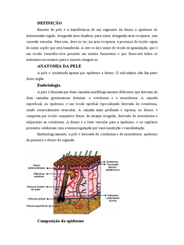 Enxertos de Pele | PDF | Epiderme | Pele