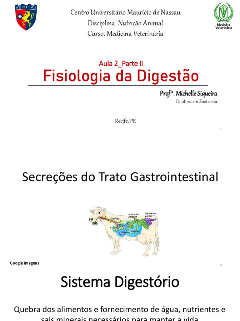 Aula 2 Fisiologia da digestão_Parte II_230214_151352 | PDF | Digestão ...